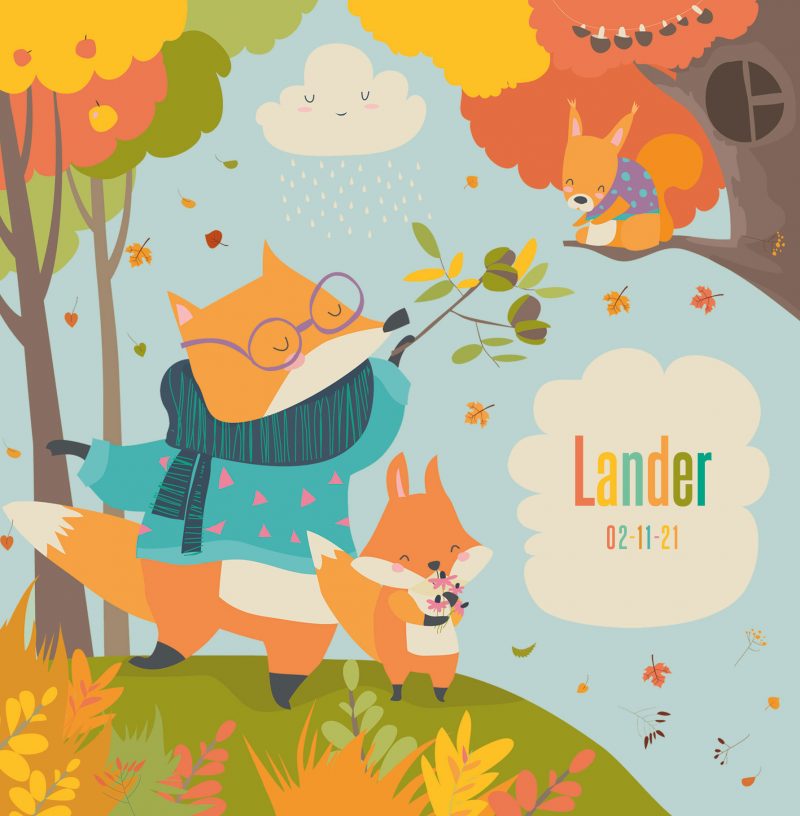 Piksels - Webdesign & Grafisch ontwerpbureau Beringen